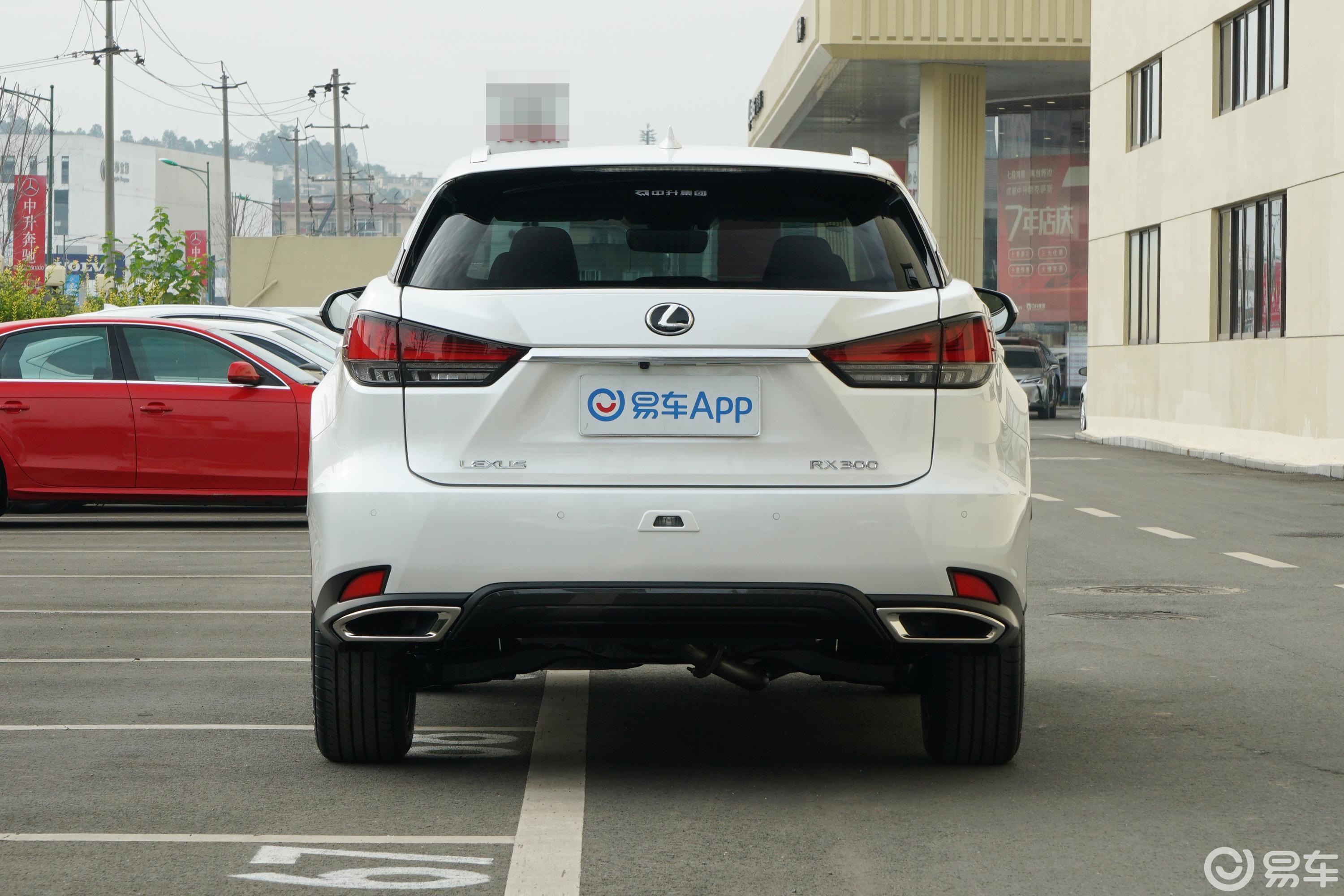 【雷克萨斯RX300 特别版正后水平图片-汽车图片大全】-易车