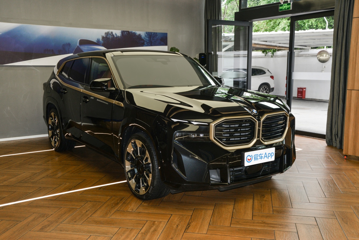 【宝马XM4.4T 78km 标准版侧前45度车头向右水平图片-汽车图片大全】-易车