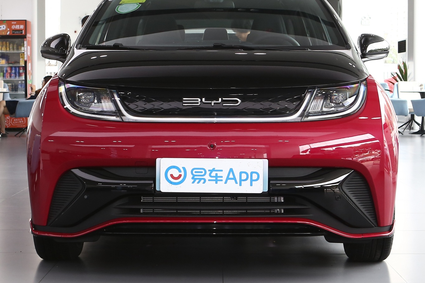 【海豚420km 50万纪念版Pro外观细节图片-汽车图片大全】-易车