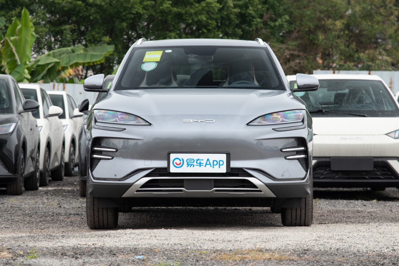 【宋PLUS新能源EV 荣耀版 520km 豪华型正前水平图片-汽车图片大全】-易车