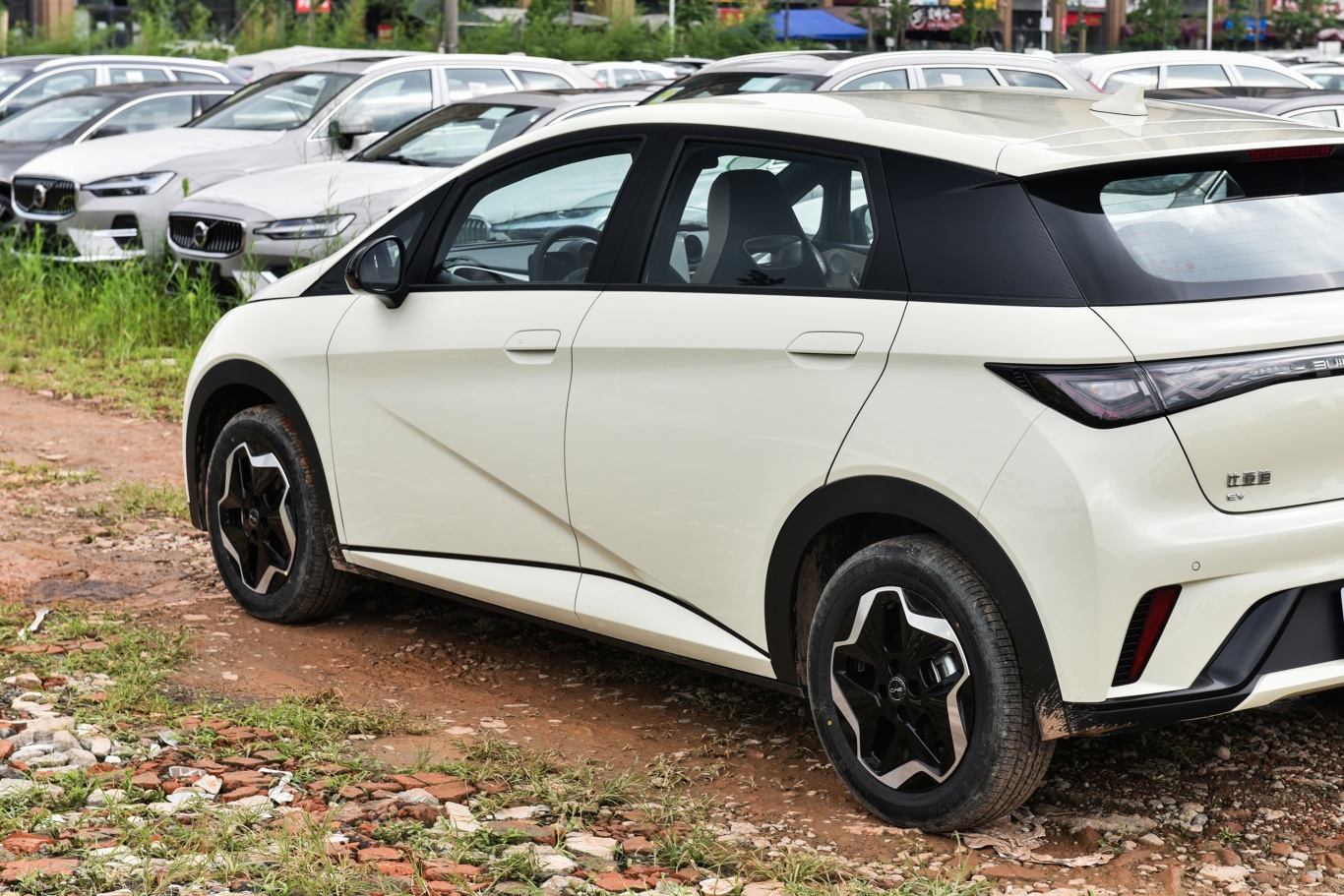 【海豚420km 活力版外观细节图片-汽车图片大全】-易车