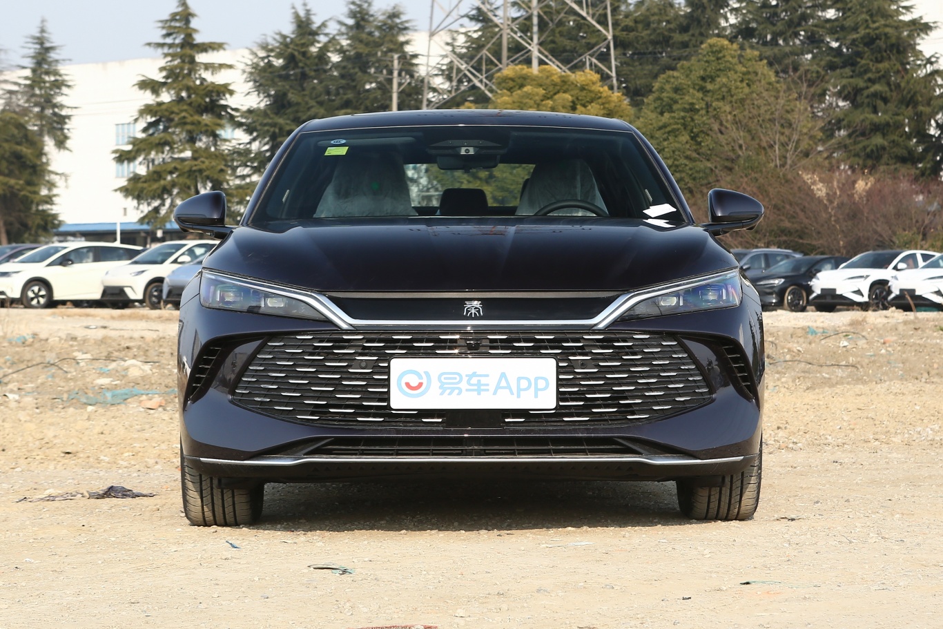 【秦LDM-i 智驾版 1.5L 80km 超越型正前水平图片-汽车图片大全】-易车